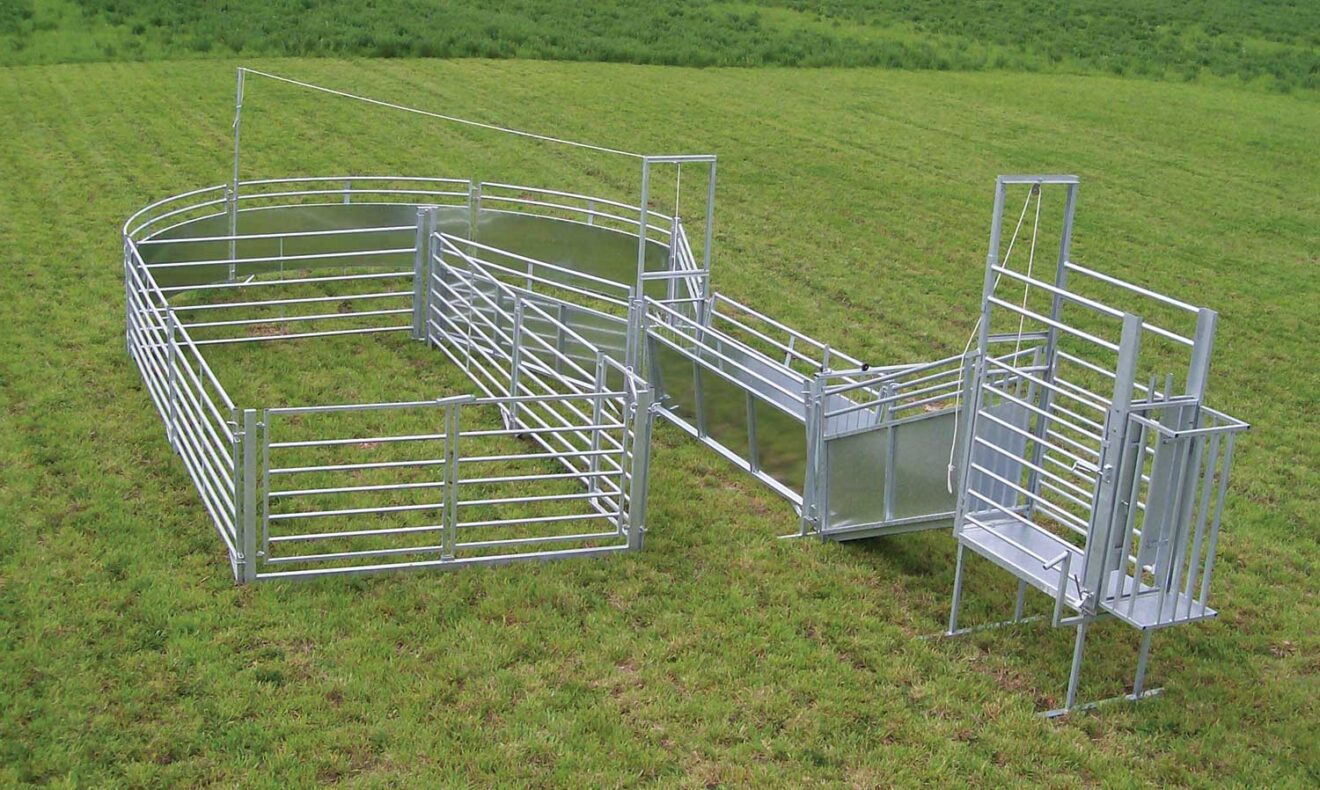 Sheep and Goat Products – DS Livestock Equipment