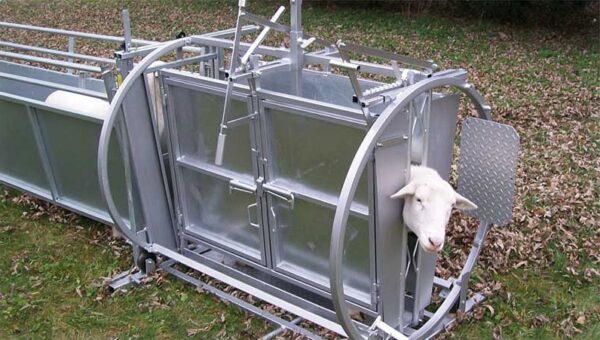 RM6000 Sheep, Goat & Calf Table - DS Livestock Equipment